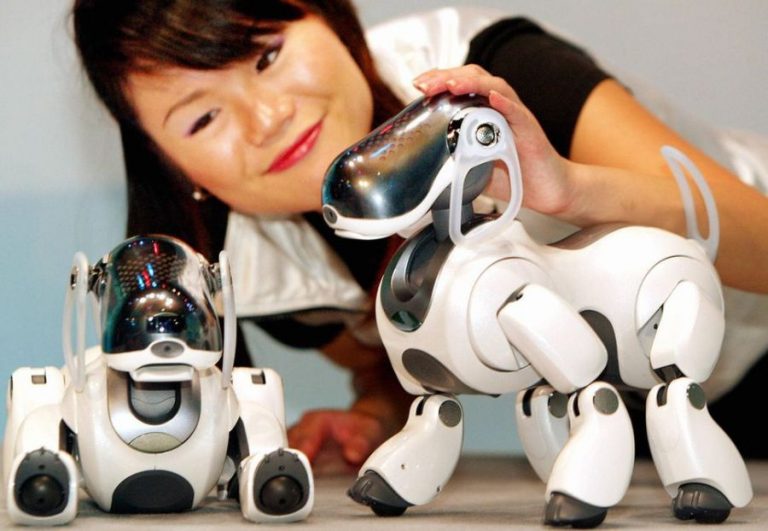 Sony Aibo yeni özelliklerle dönüyor! - ShiftDelete.Net