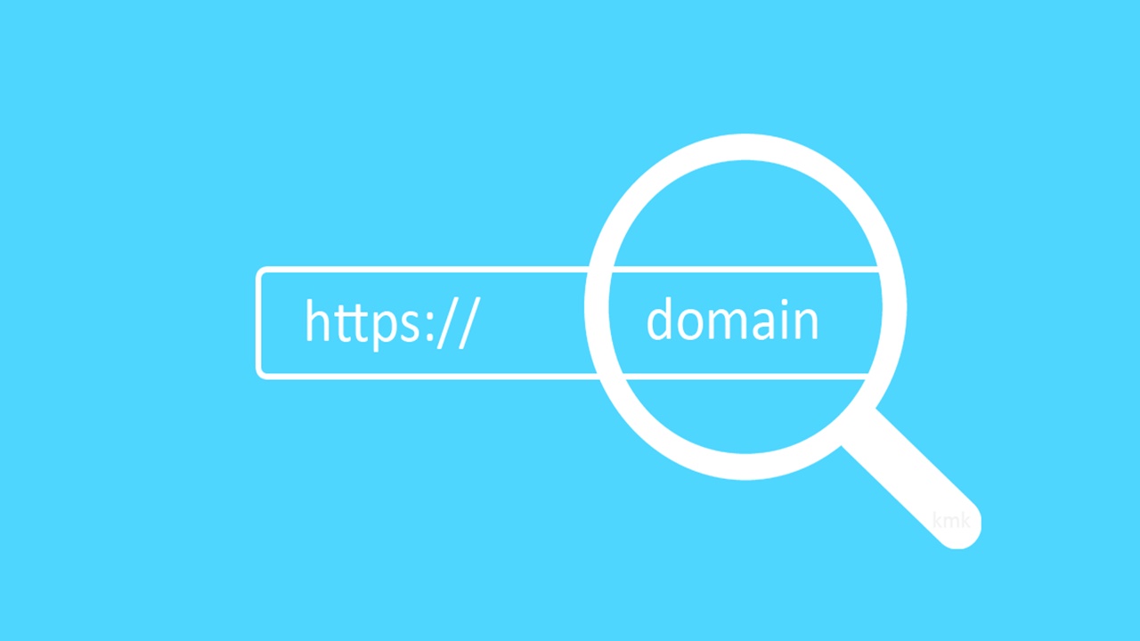 Domain nedir? - Domain ne demek ve ne işe yarar? - SDN
