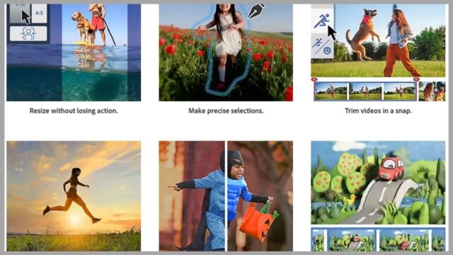 Adobe, Elements 2023 ailesini tanıttı! Neler sunuyor? - ShiftDelete.Net