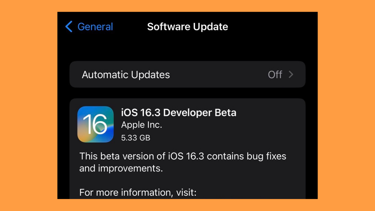 iOS 16.3 ilk beta sürümü yayınlandı! İşte yenilikler - ShiftDelete.net