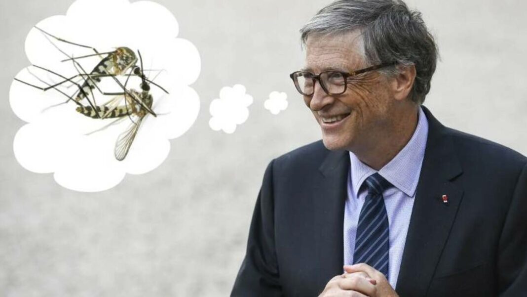 Bill Gates'in yapay sinekleri ortalığı karıştırdı - ShiftDelete.Net
