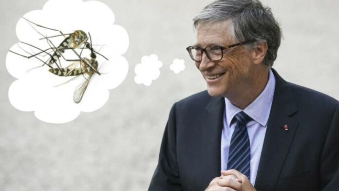 Bill Gates'in yapay sinekleri ortalığı karıştırdı - ShiftDelete.Net